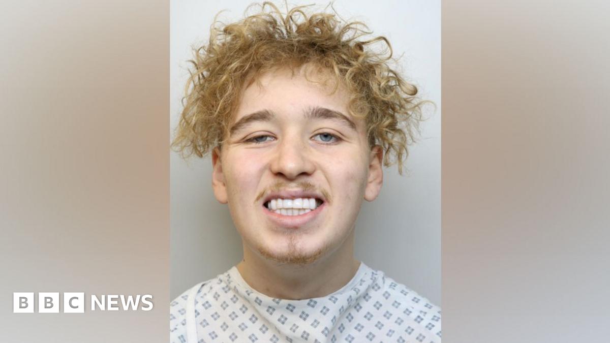 Prolific train thief Teddy Kelt admits violent offences - BBC News