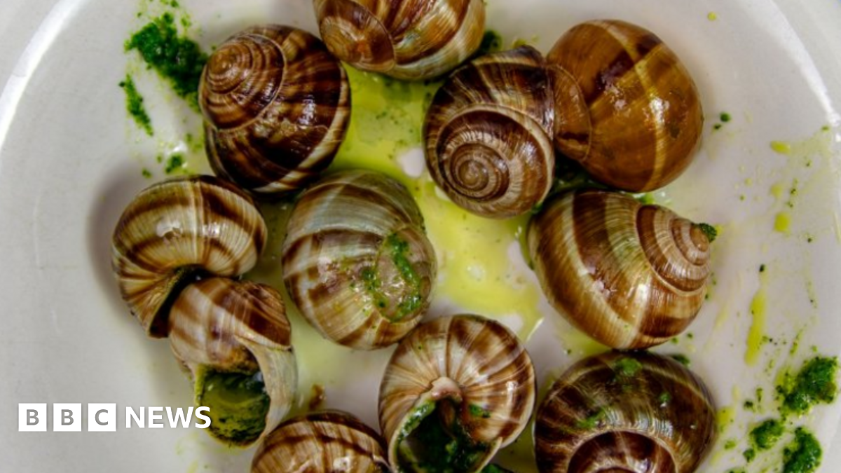 Herefordshire cabin used to cook snails approved for holiday let ...