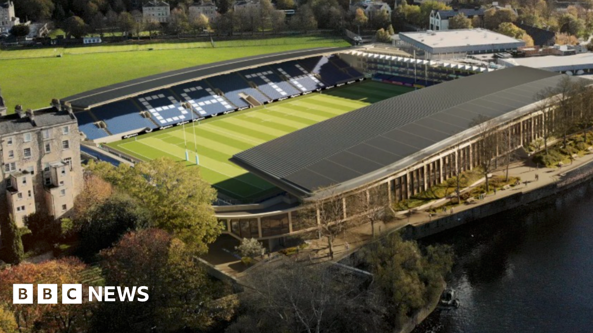 Ancient beech tree 'threatened by Bath Rugby stadium proposals' - BBC News