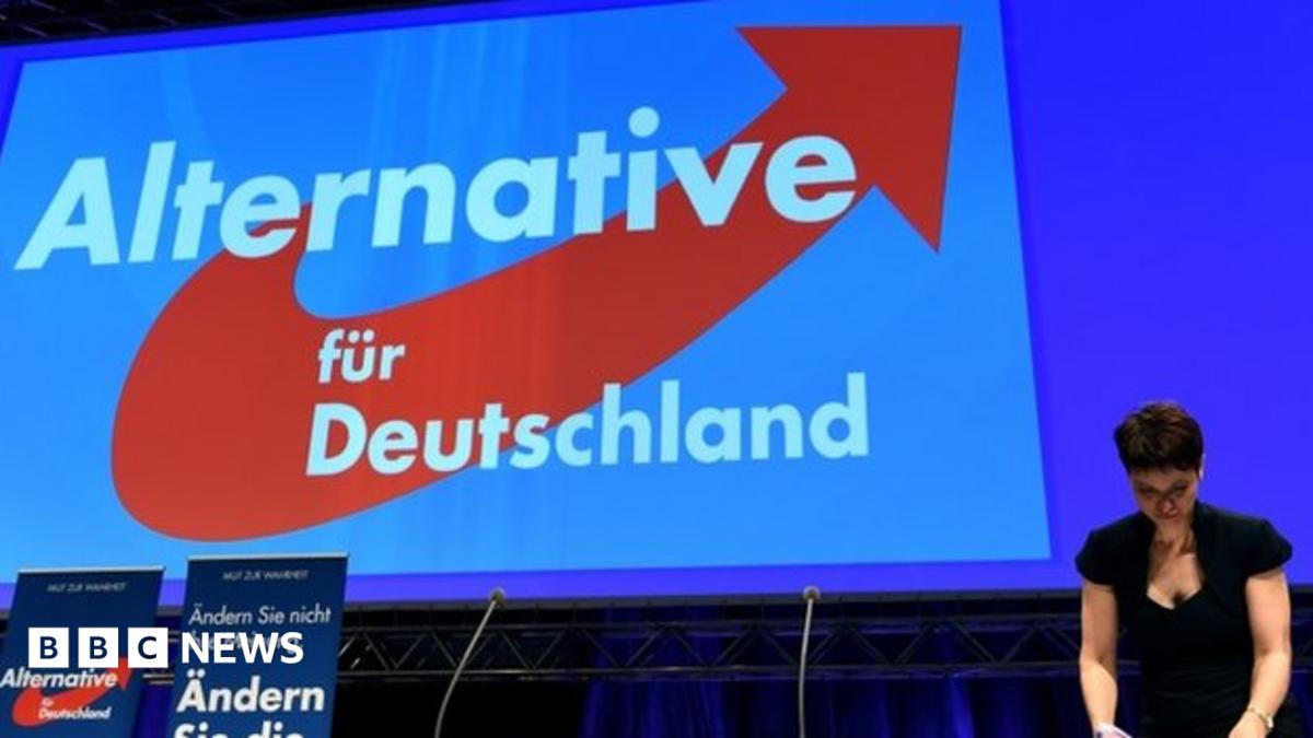 What next for Germany's Eurosceptic AfD party? - BBC News
