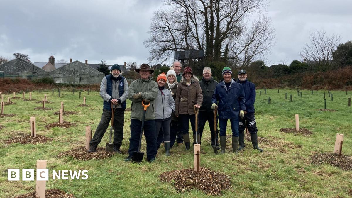 Guernsey Government House team plants 100 trees - BBC News