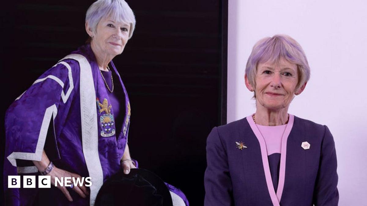 Portrait of Manchester University's first female leader unveiled - BBC News