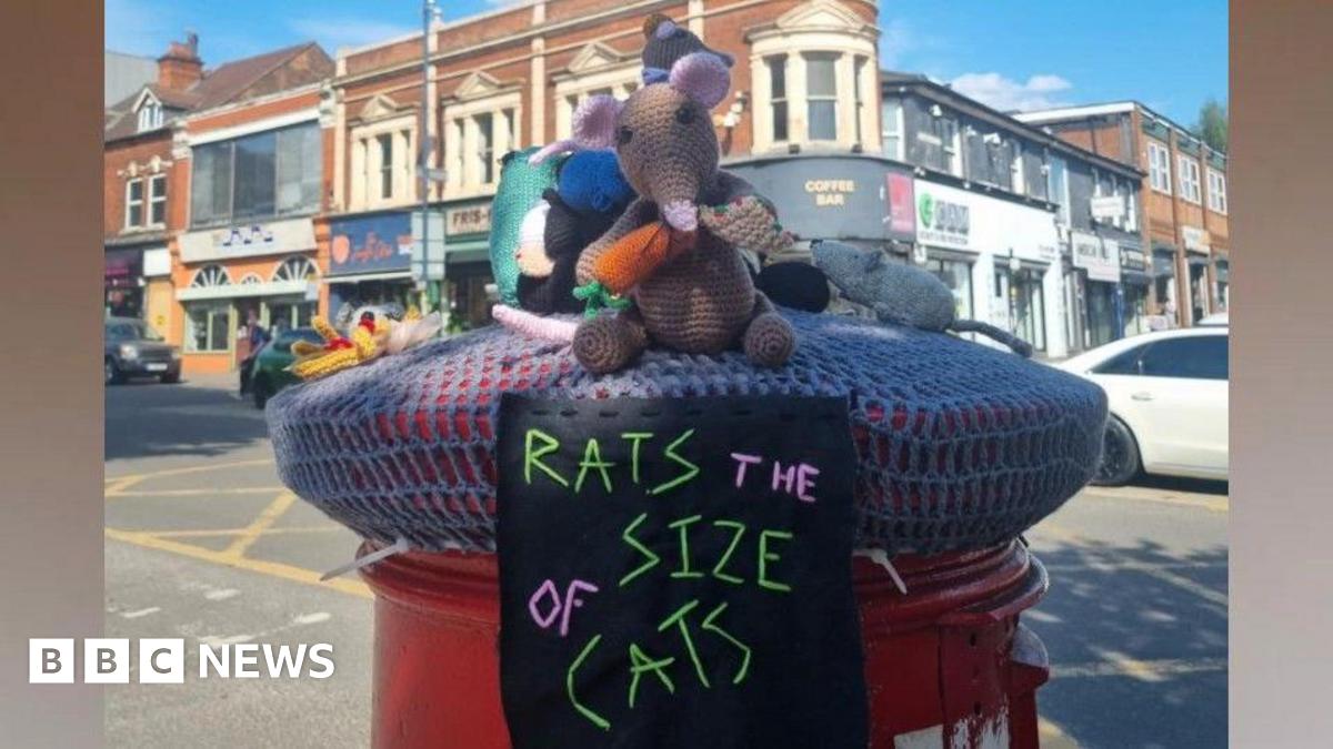 Birmingham bin strike 'King rat' postbox topper appears - BBC News