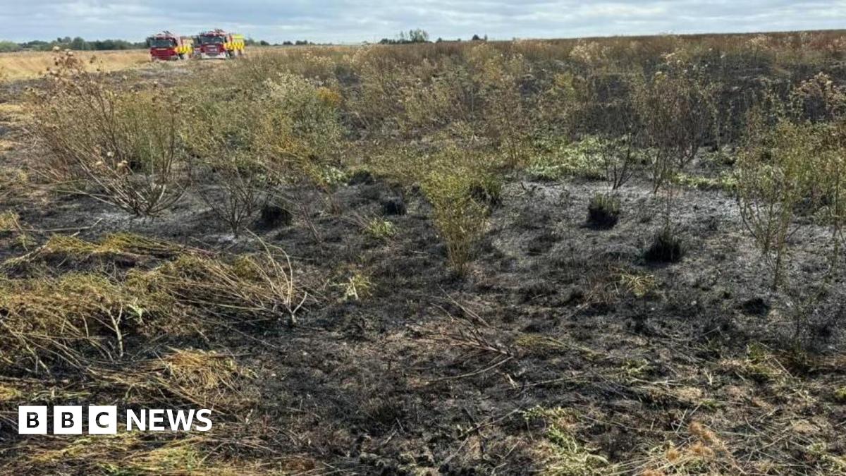 Crops destroyed in 'rapidly' spreading field fire in Canewdon - BBC News