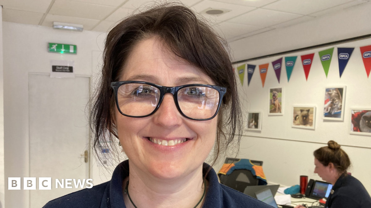 RSPCA calls for judicial review into XL bully dog ban - BBC News