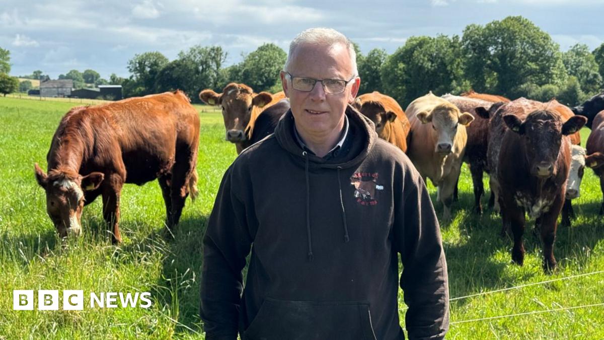 Northern Ireland farmers 'aren’t trying to destroy environment' - BBC News