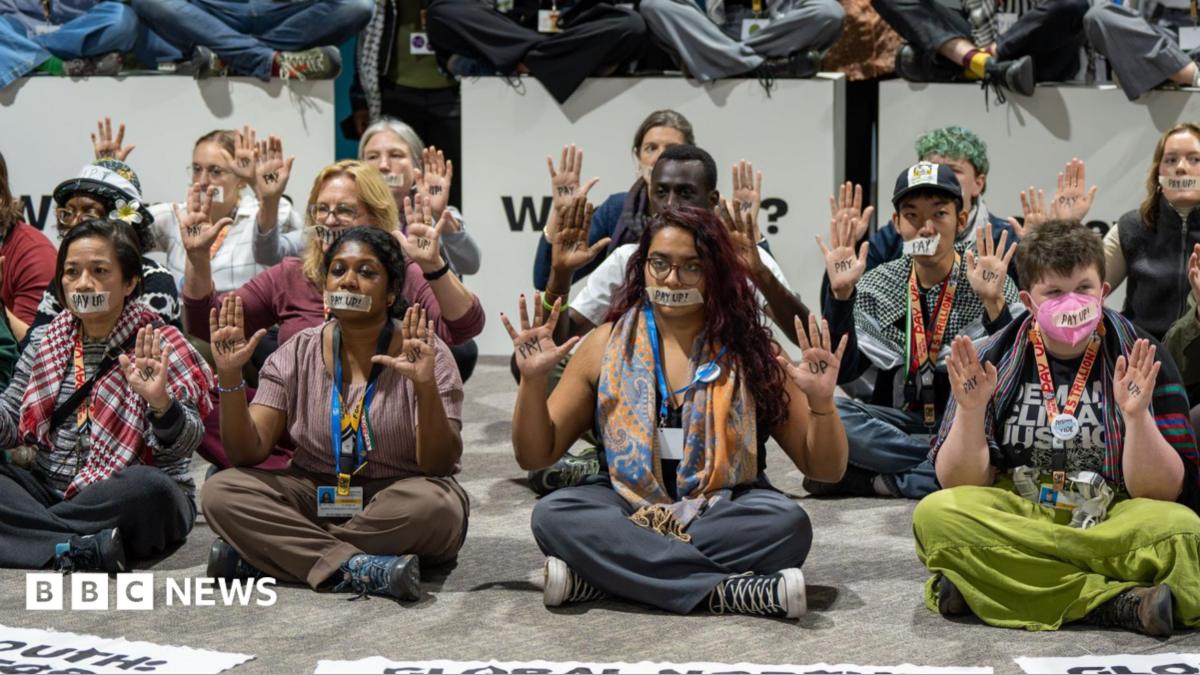 Five key takeaways from COP29 - BBC News