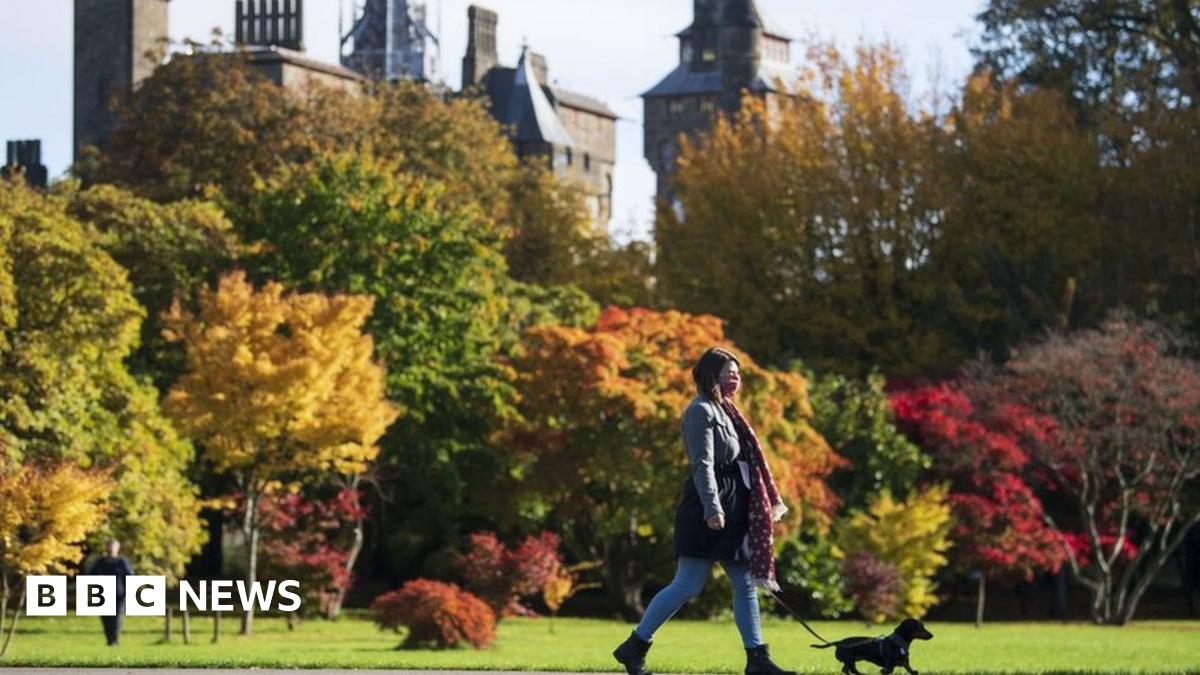 Wales lockdown to start in bid to 'save lives not Christmas' - BBC News