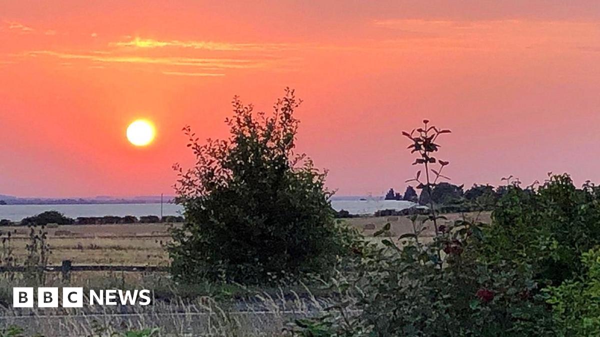 Heatwave latest: East of England experiences record high temperatures ...