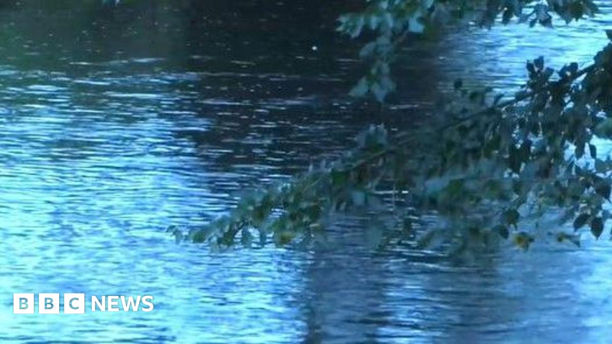 Tyrone dog death disturbing and sickening, says USPCA - BBC News