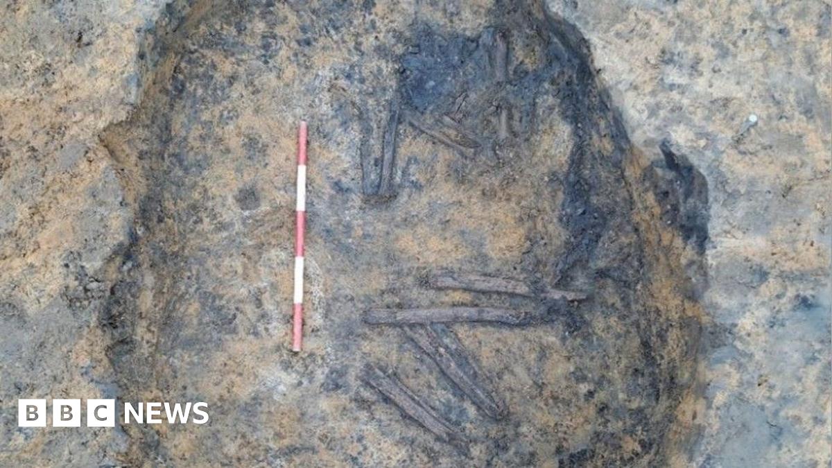 East Yorkshire: Prehistoric human remains found in village - BBC News