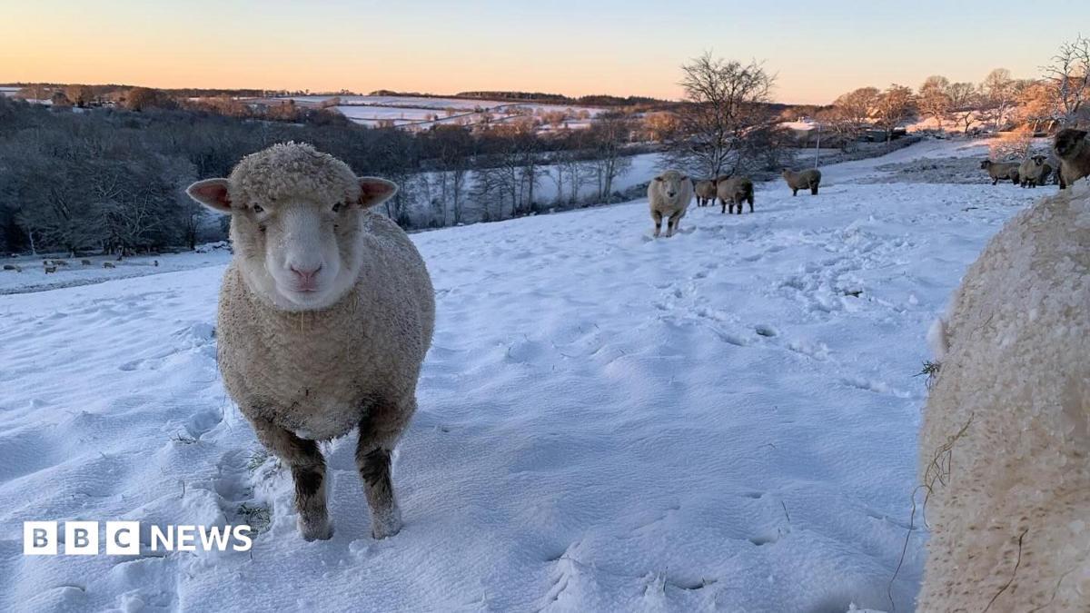 Somerset in Pictures: Snow, flood and races - BBC News