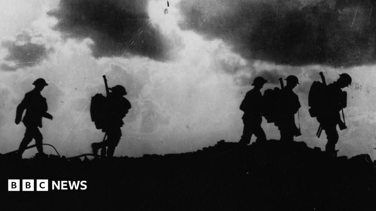 Duxford artist Renato Niemis helps honour St Albans King's Road WW1 ...