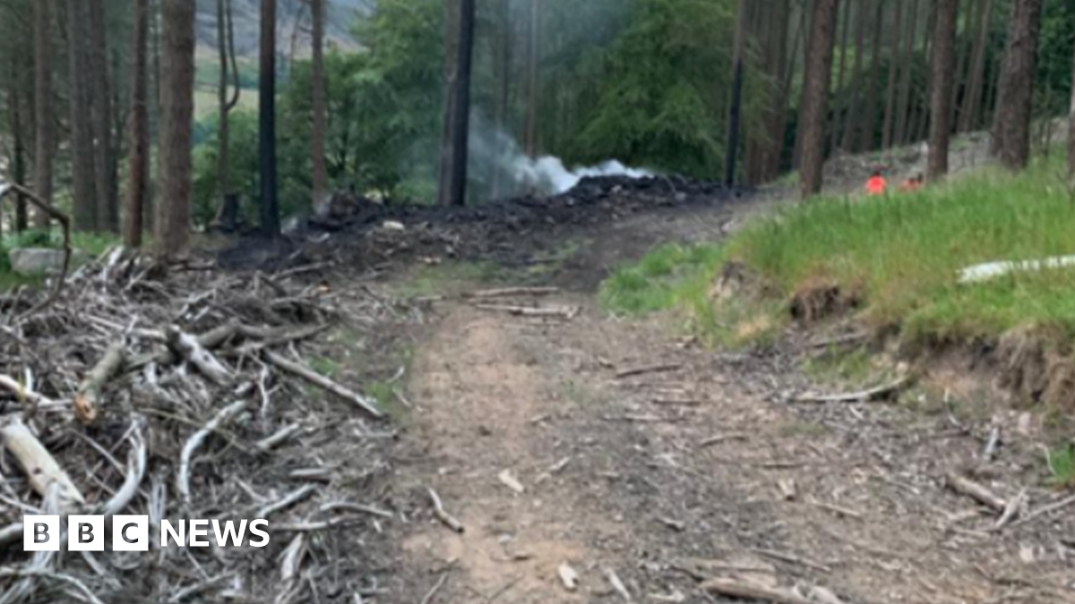 Oldham fire: More than 50 firefighters tackle woodland blaze - BBC News