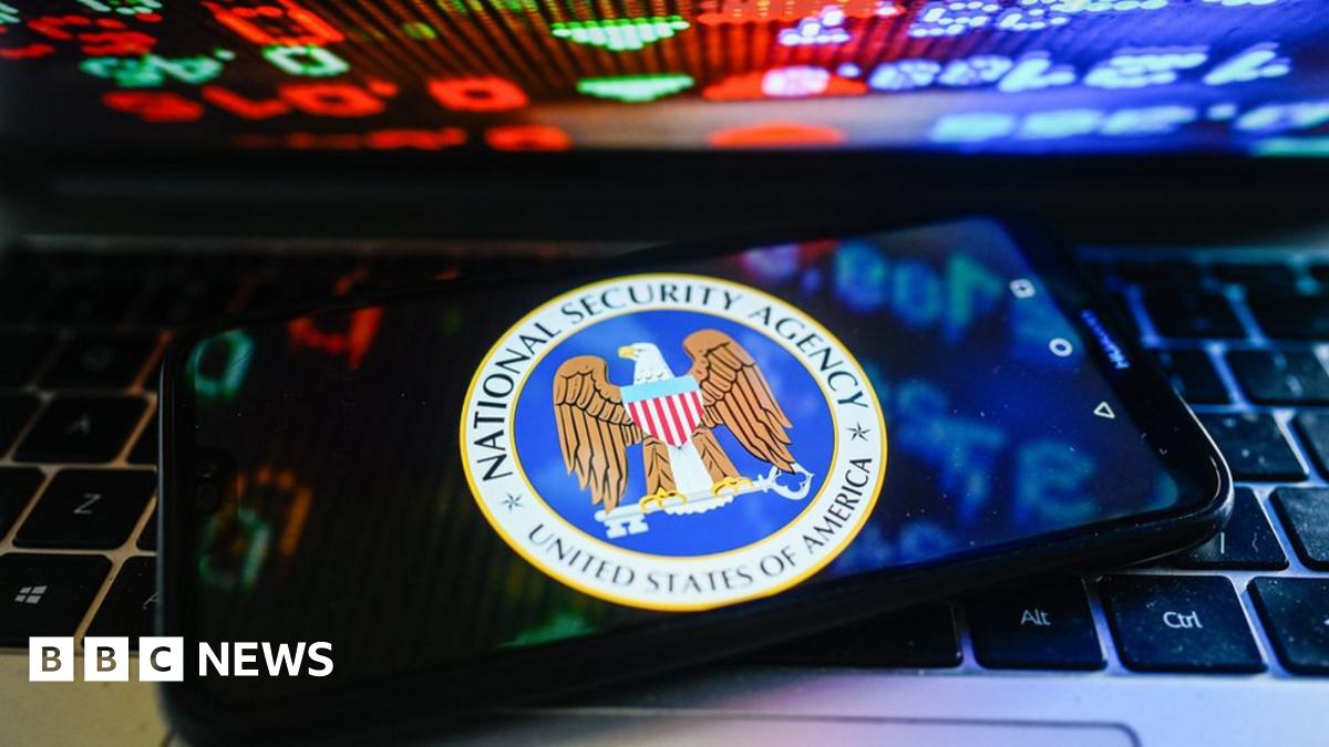 The Russian 'spy', the NSA mole and the FBI sting that got him - BBC News