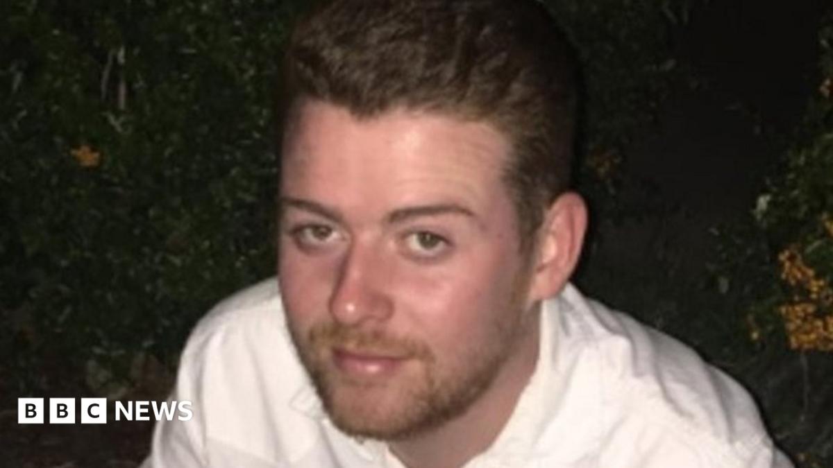 Lee Murrell murder: Man pleads guilty over Brentwood death - BBC News