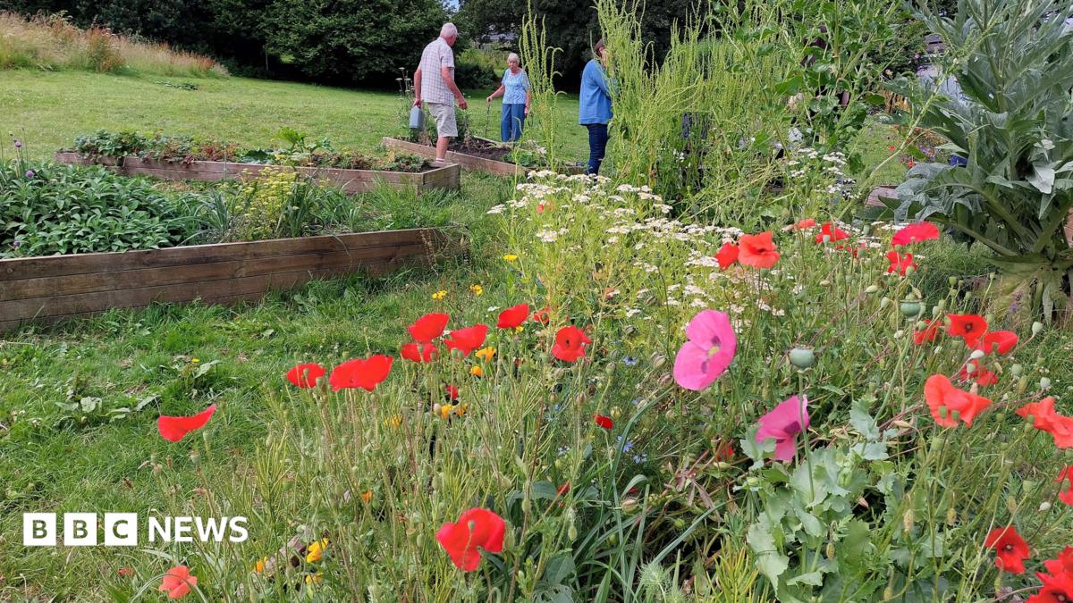 Devon garden set up for social prescribing wins award - BBC News