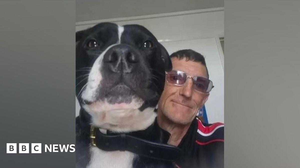 Ipswich teen in court charged with murdering Billy McNicholl - BBC News