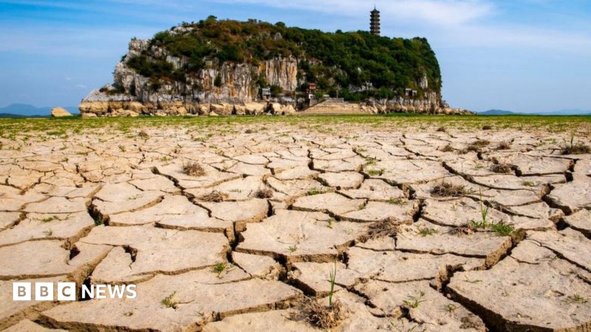 China, Europe, US drought: Is 2022 the driest year recorded? - BBC News