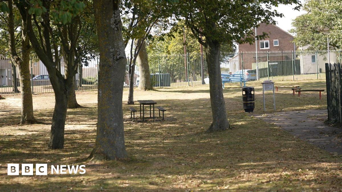Eight appear in court Peterlee Eden Park disorder - BBC News