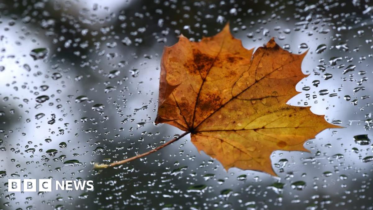 Wettest and warmest December 'won’t become norm for decades' - BBC News