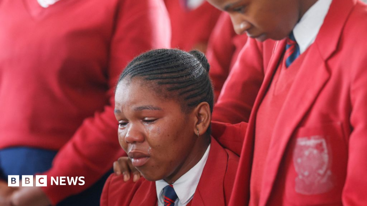 Africa Live this week: 19-25 February 2024 - BBC News