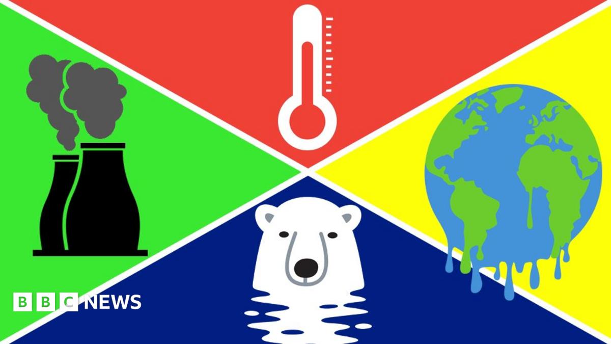 Climate change: The COP25 talks trying to change the world - BBC News