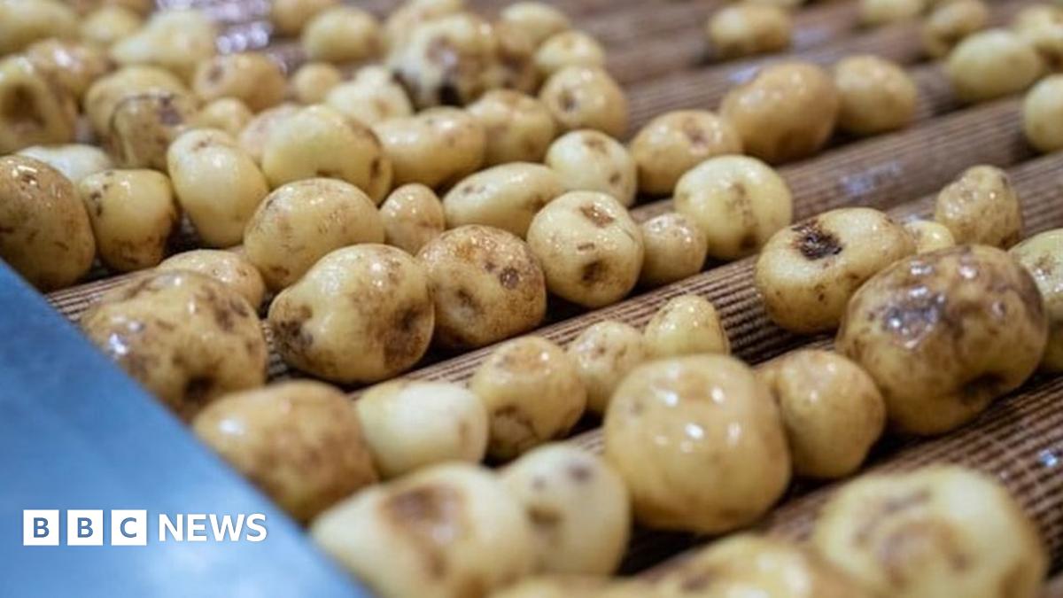 Walkers plans new potato preparation plant in Leicester - BBC News