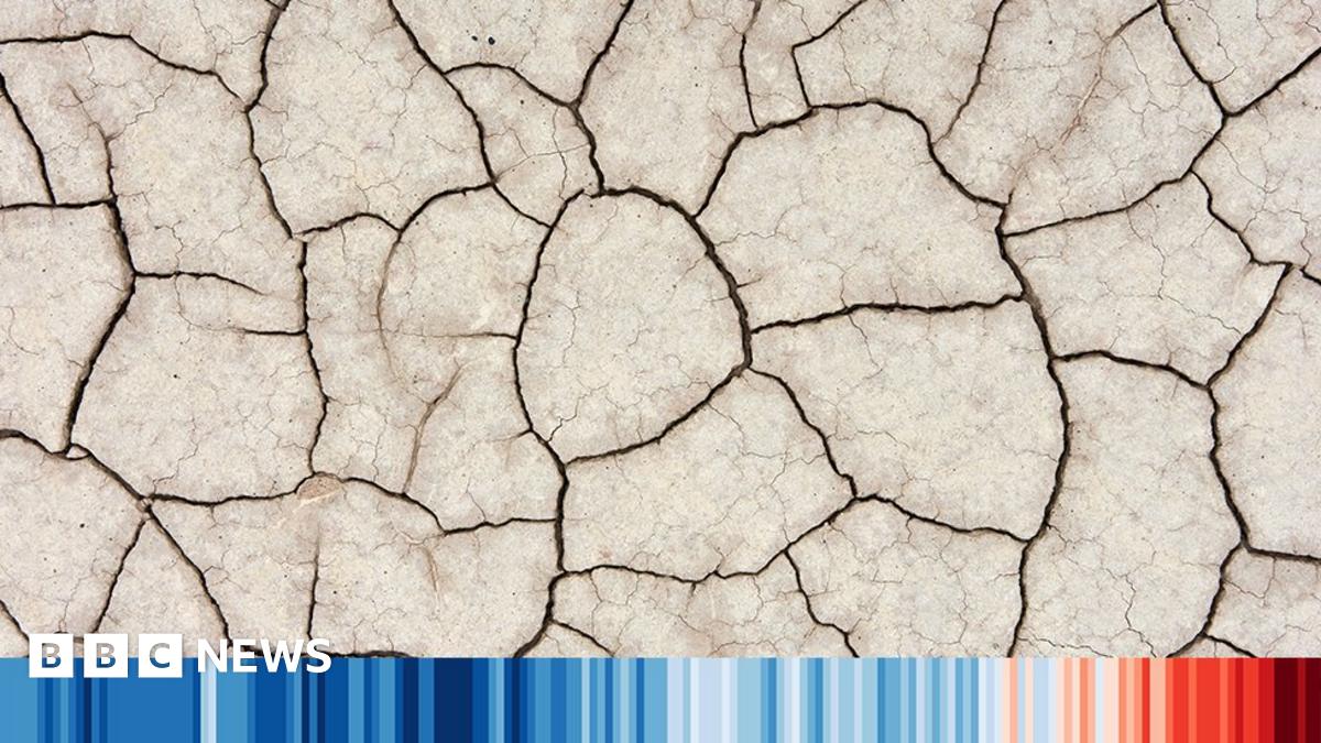 COP27: Are nations on track to meet their climate goals? - BBC News