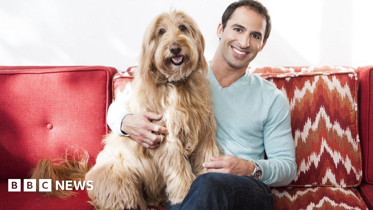 How a traumatised dog inspired a sharing economy business - BBC News