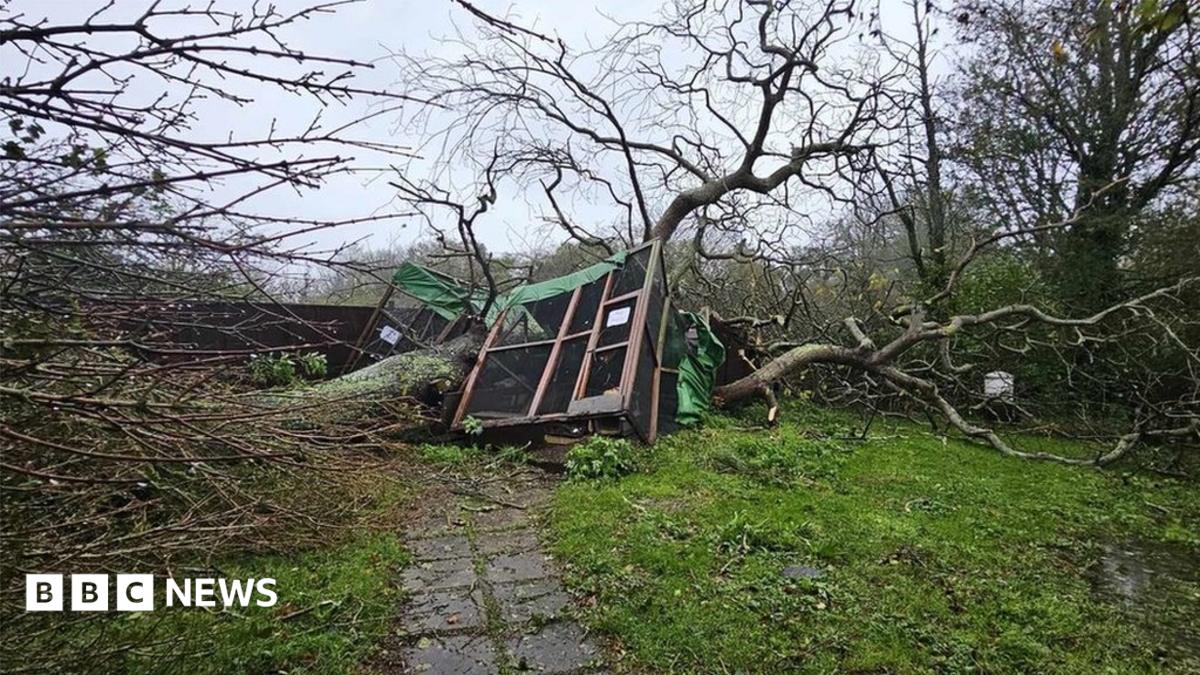 Storm Ciarán: Charity's plea for support to fix damage - BBC News