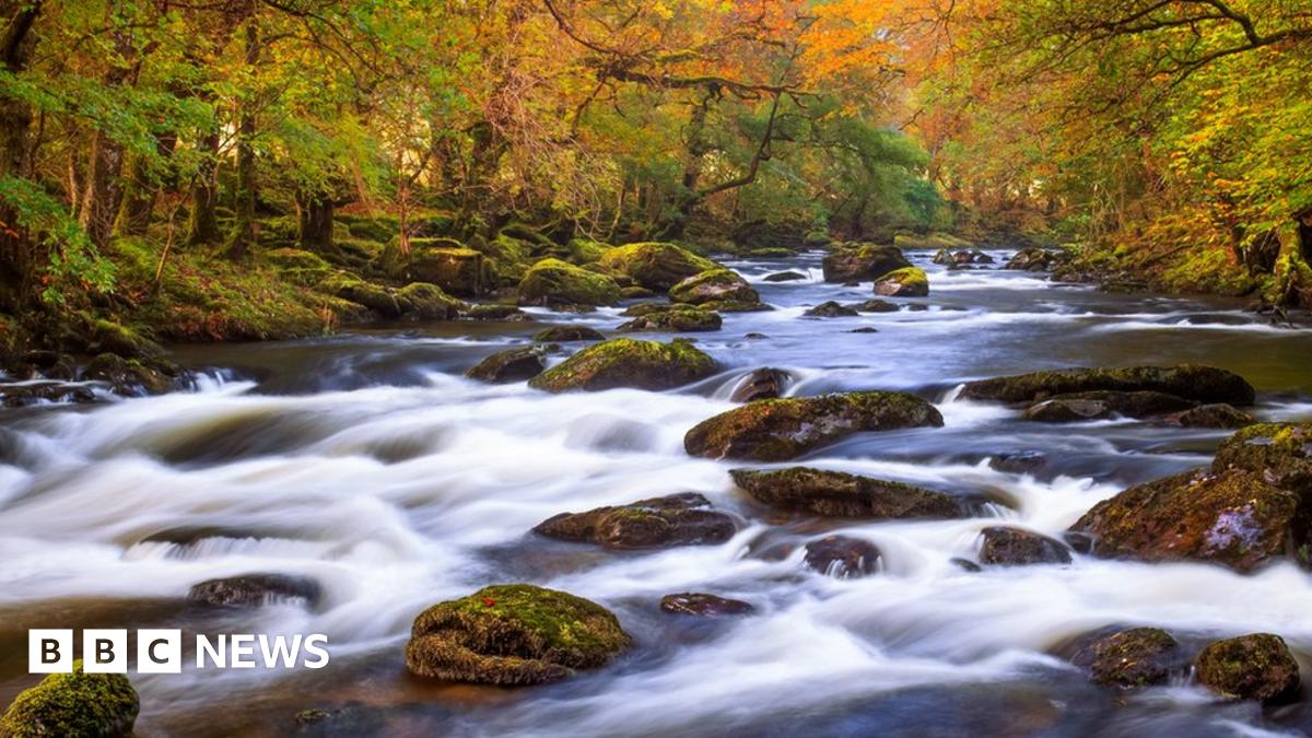 Conwy Falls hydro scheme could turn waterfall to 'trickle' - BBC News