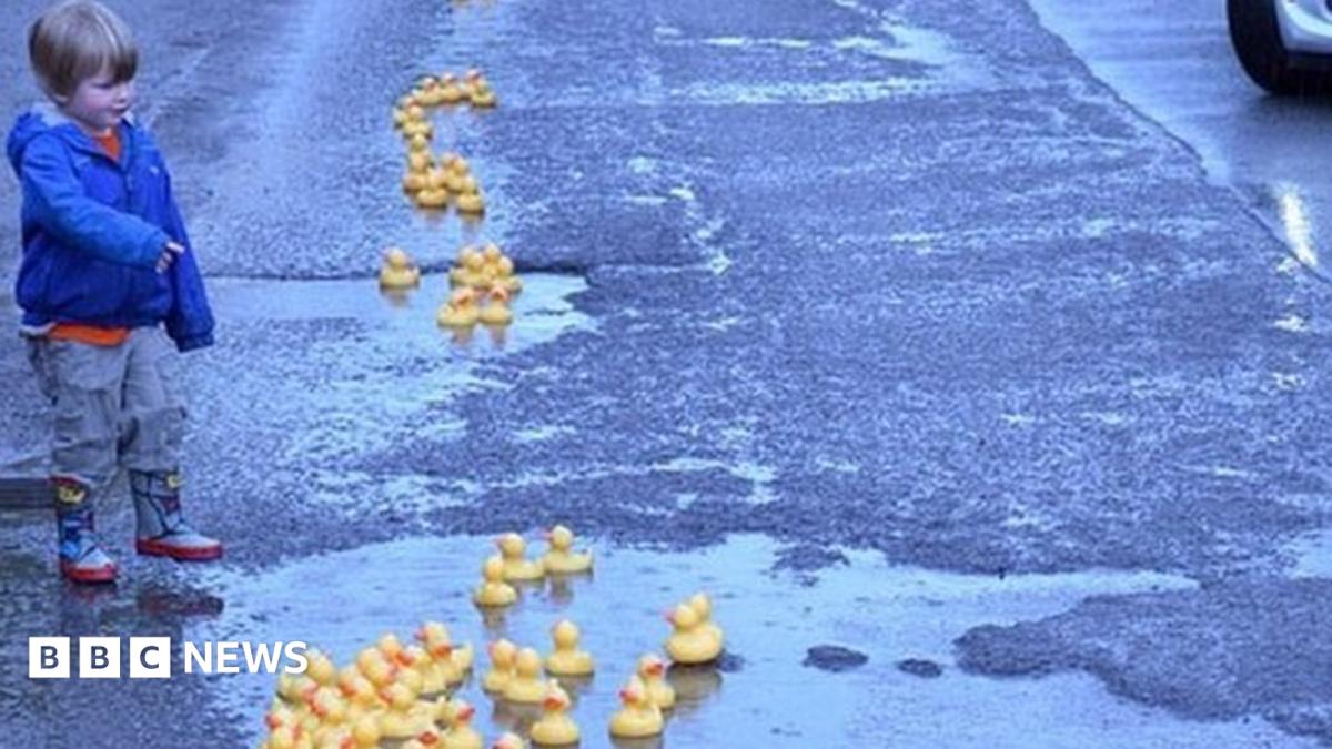 Rubber ducks swim in Steeple Aston village potholes - BBC News