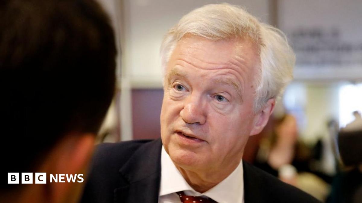 Ex-minister David Davis intervenes in street attack near Parliament ...