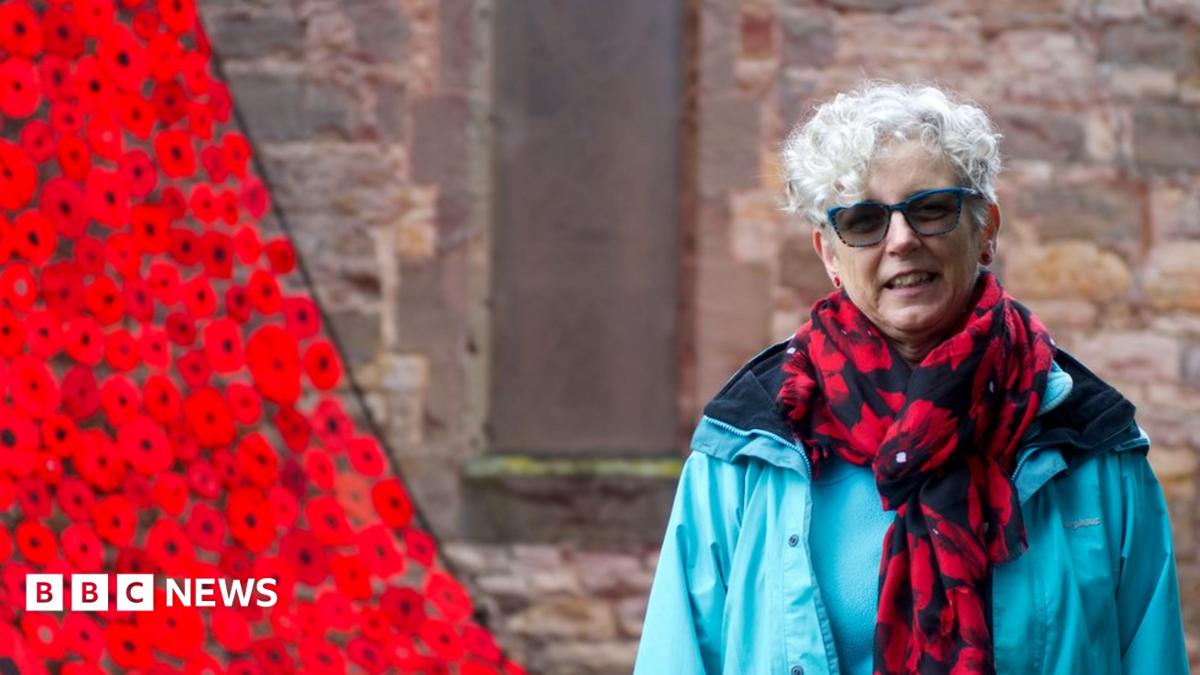 Wellesbourne Remembrance cascade of poppies knitted by villagers - BBC News