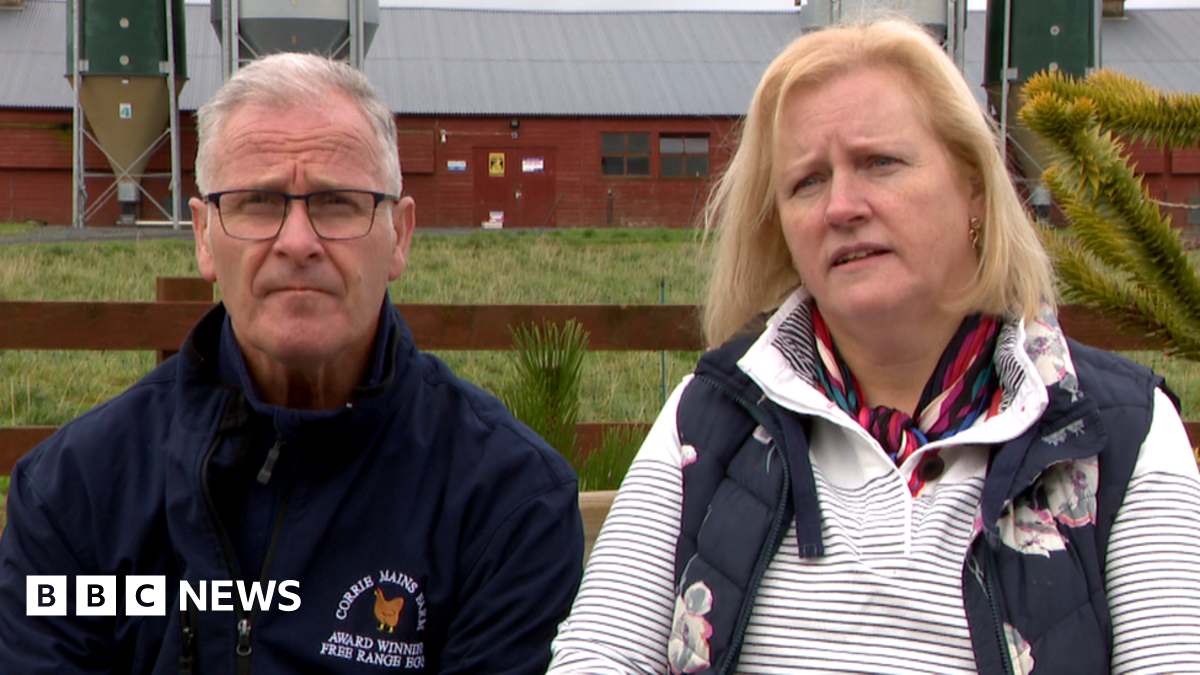 Family farm shuts away hens to keep out 'devastating' bird flu - BBC News
