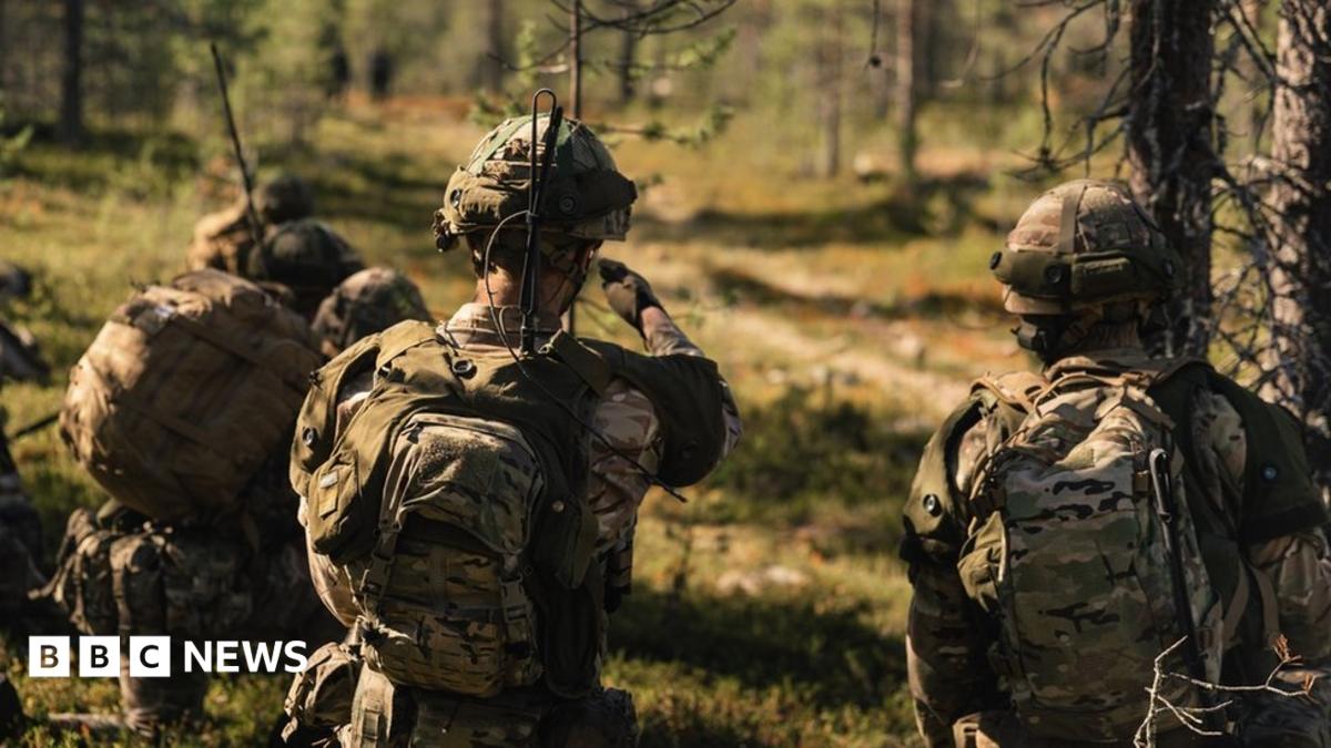 British army trains with Swedish and Finnish forces - BBC News