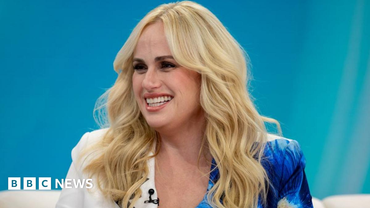 Rebel Wilson: A quick guide to her rise to stardom from Australia to ...