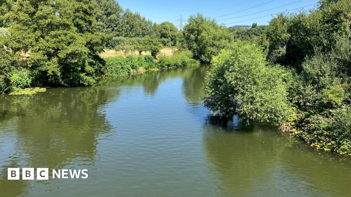 Body of woman found in River Avon in search for swimmer - BBC News