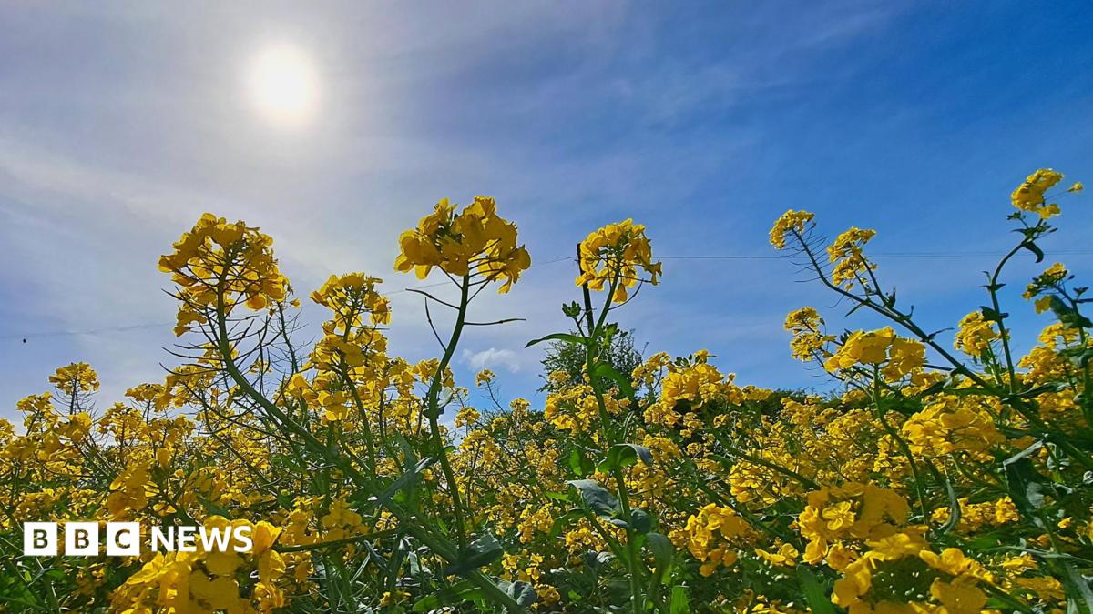 Your pictures across the West Midlands - BBC News