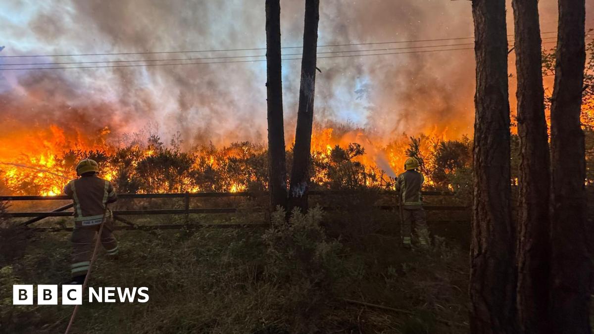 Large heath fire operation in Bransgore scaled back - BBC News