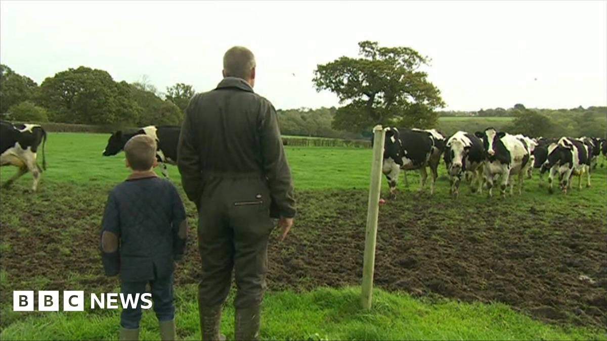 Westridge Farm: Campaigners lose battle over Ryde housing scheme - BBC News