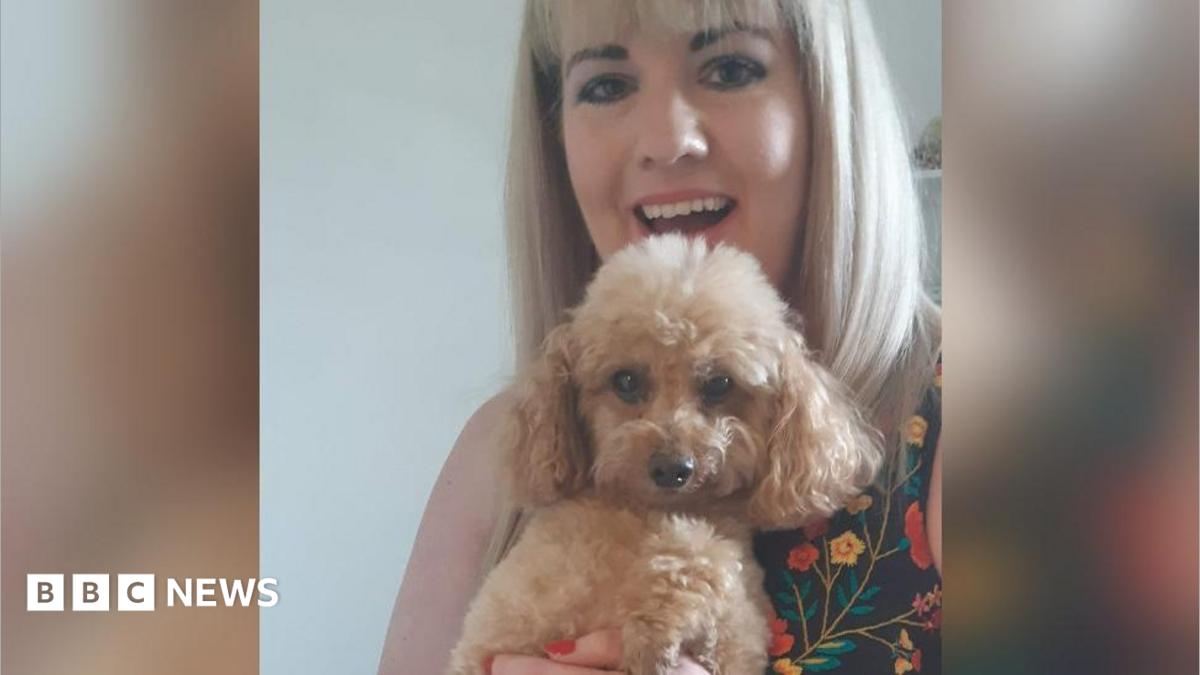 West Midlands sees 66% rise in dog attacks - BBC News