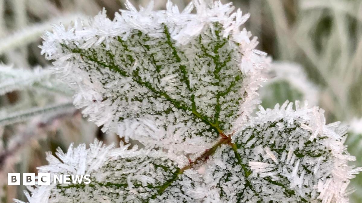 Essex records coldest night for nearly 10 years - BBC News