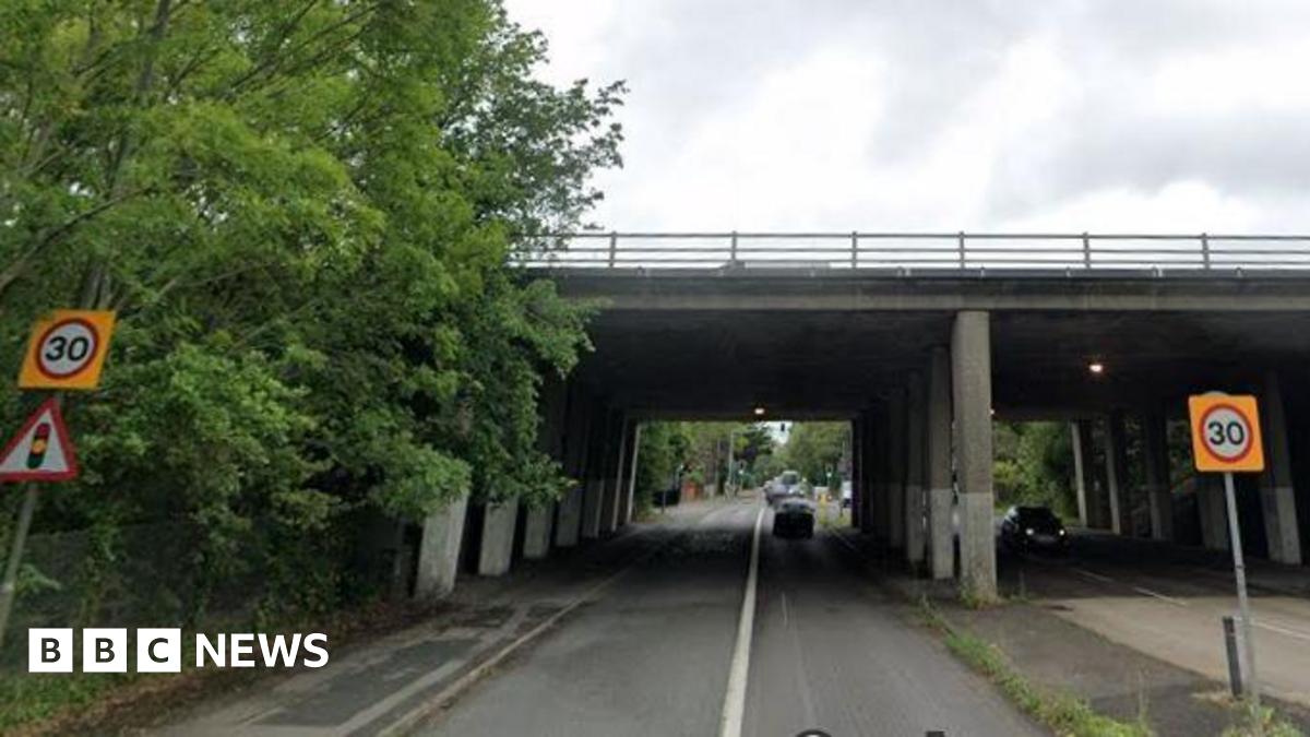 Camberley: Police renew crash appeal after teen driver dies - BBC News