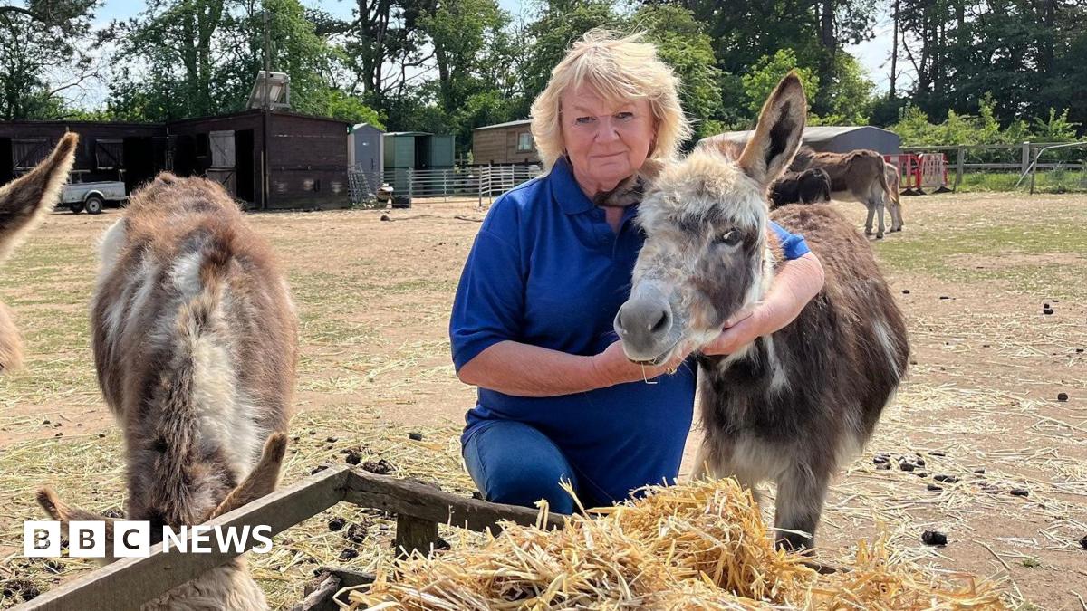 Dispute over Little Massingham therapy donkeys divides village - BBC News