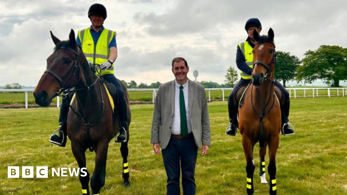 Newbury MP calls for better road safety for horses - BBC News