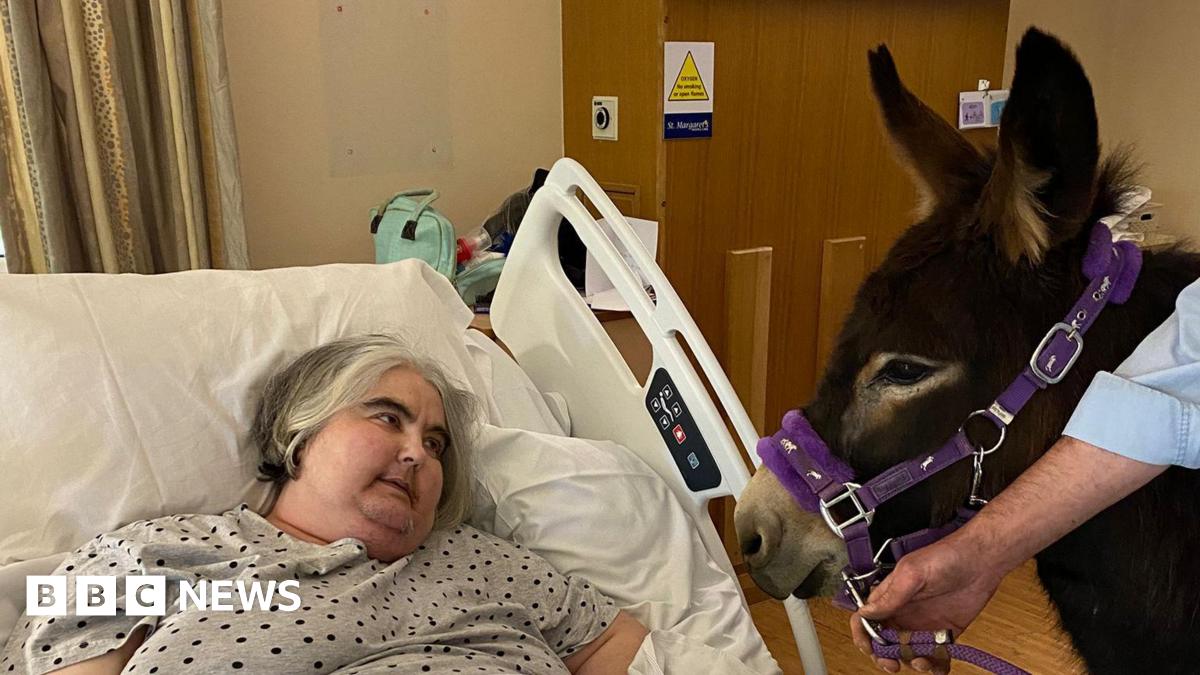 Donkey makes hospice patient’s 'wish come true' - BBC News