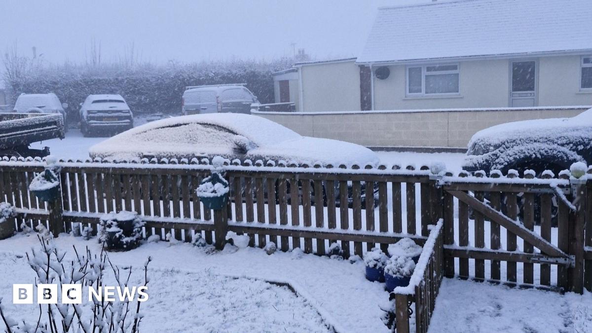 Somerset snow: Amber weather alert issued for the county - BBC News