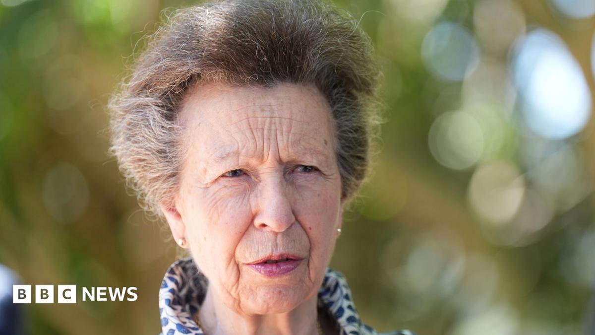Princess Anne has no memory of 2024 accident - BBC News